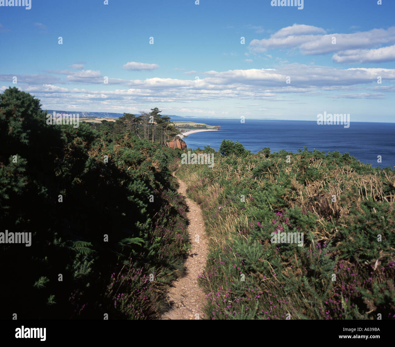 Devon Coastal Walk Exmouth Coastal erosion of the cliffs Stock Photo ...