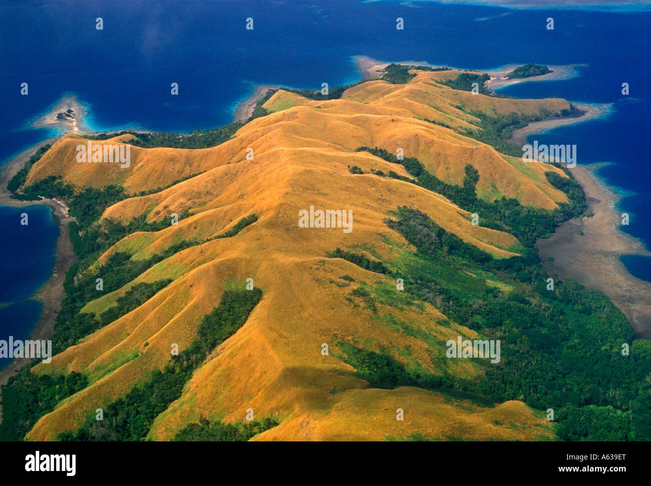 coral reef, coral reefs, Pacific Ocean, Vanua Levu Island, Fijian ...