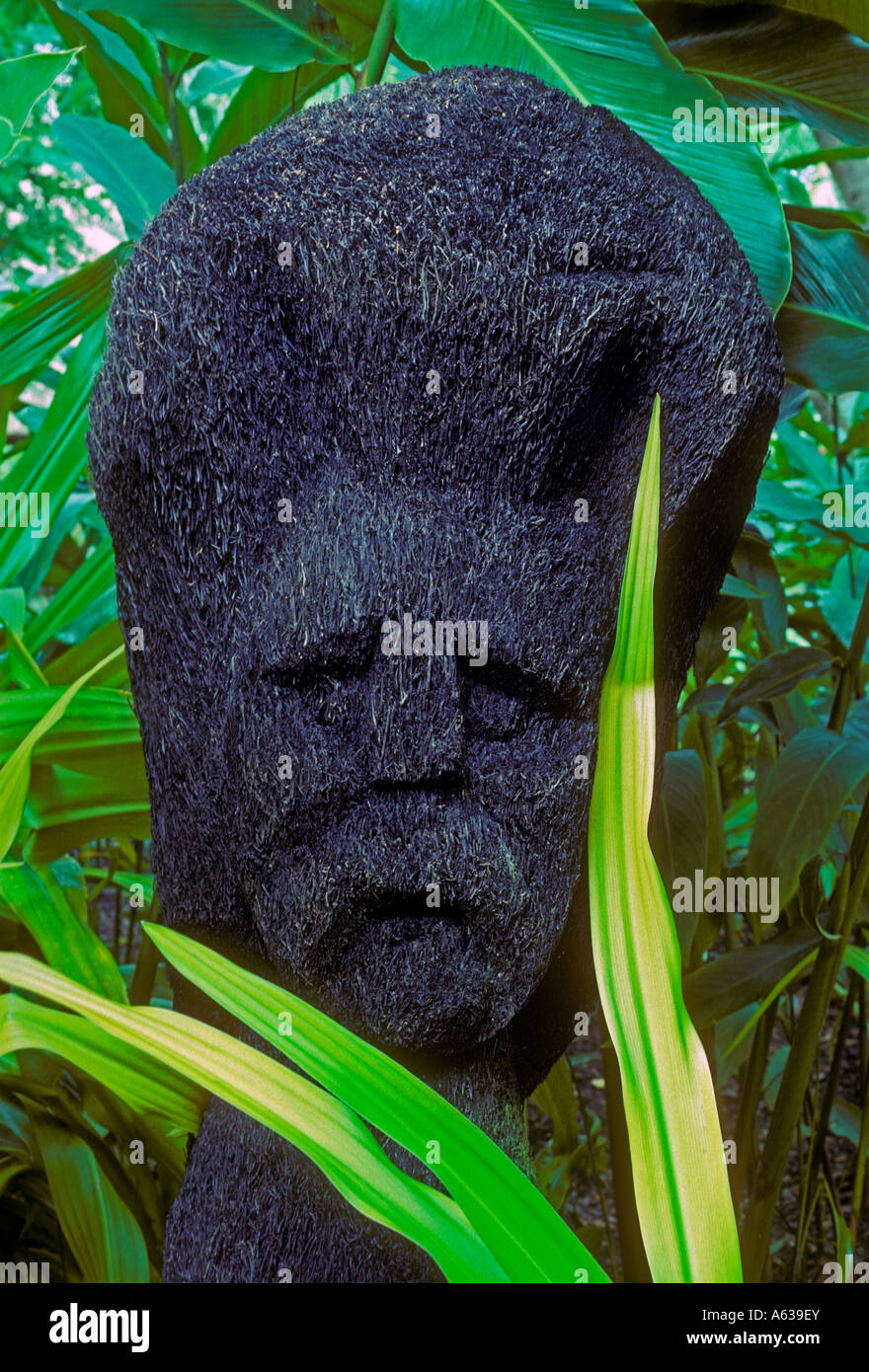 sculpture from balabala tree, sculpture, balabala tree, Nadi, Viti Levu ...