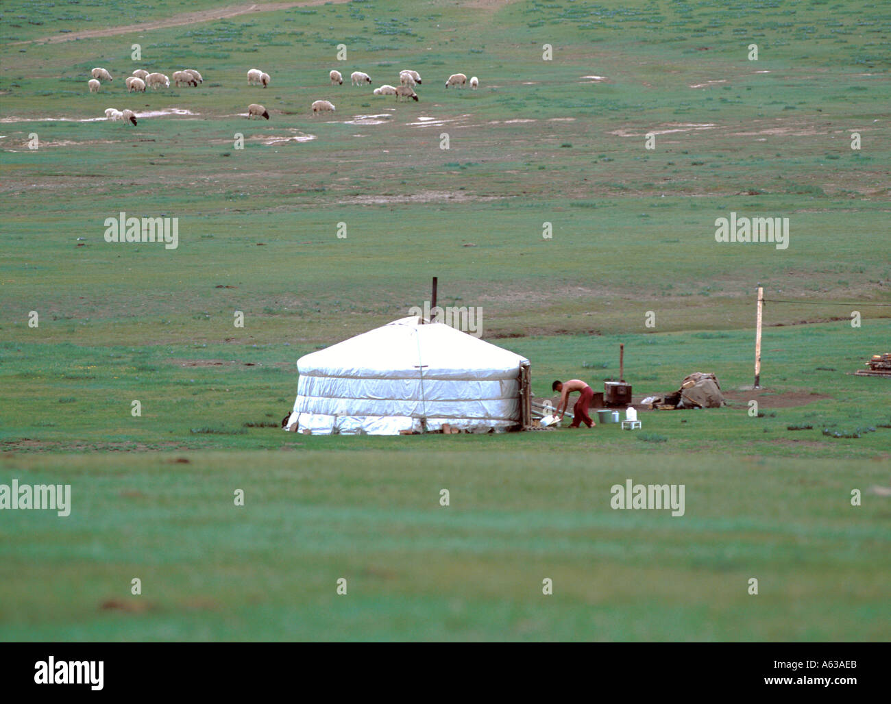 A traditional ger in Mongolia Stock Photo - Alamy