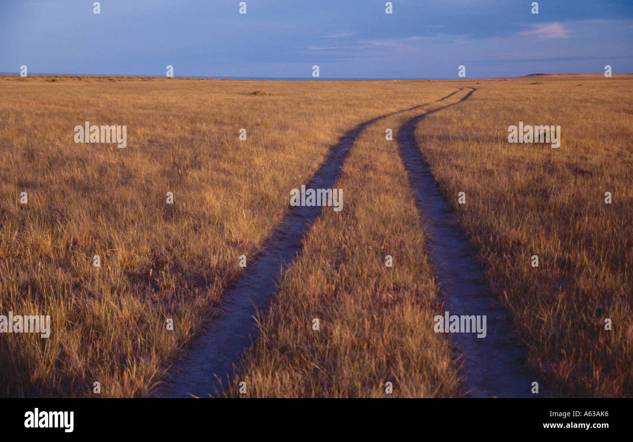 Track across field Stock Photo - Alamy