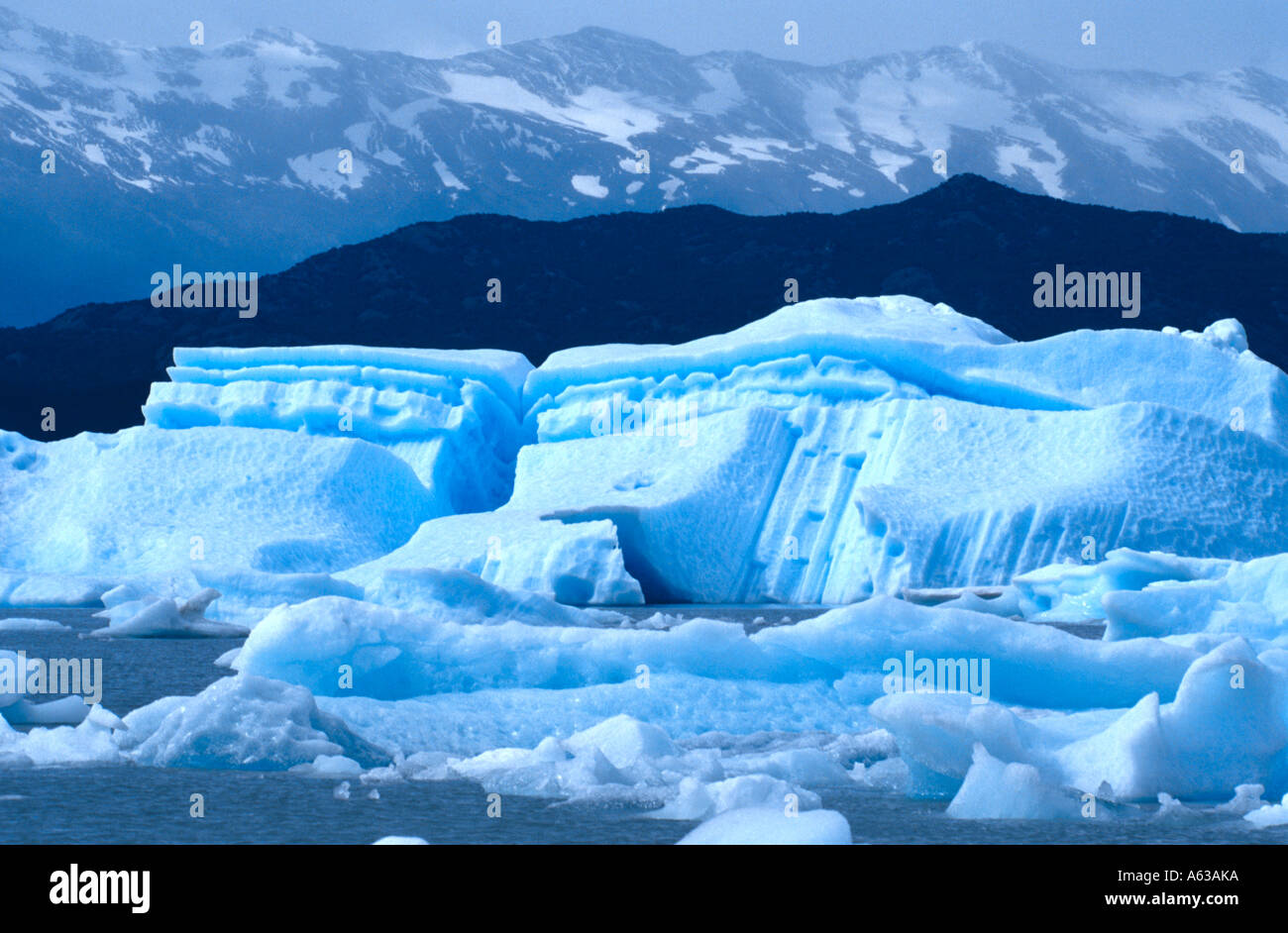 Glacier in sea Stock Photo - Alamy