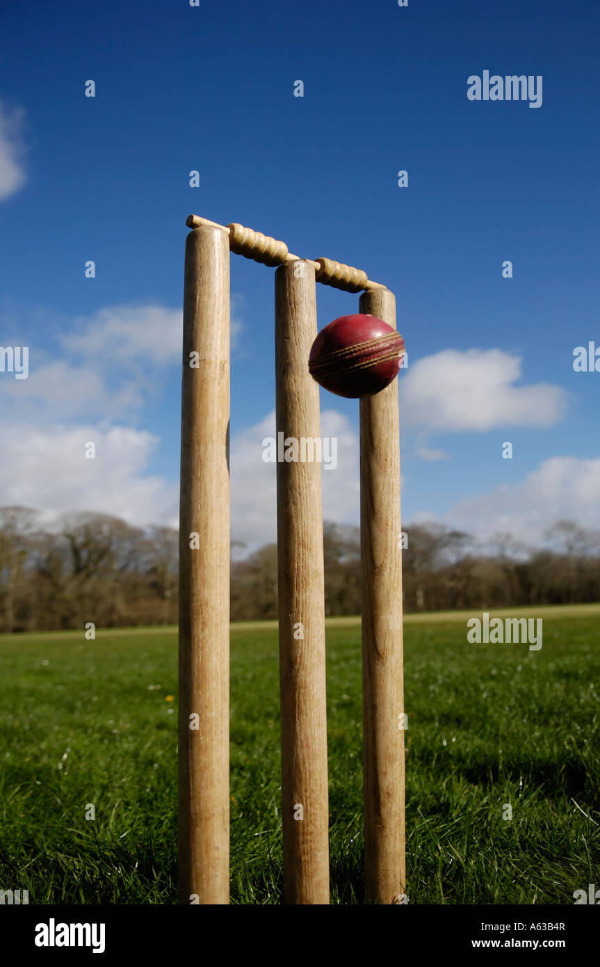 Cricket stump out hi-res stock photography and images - Alamy