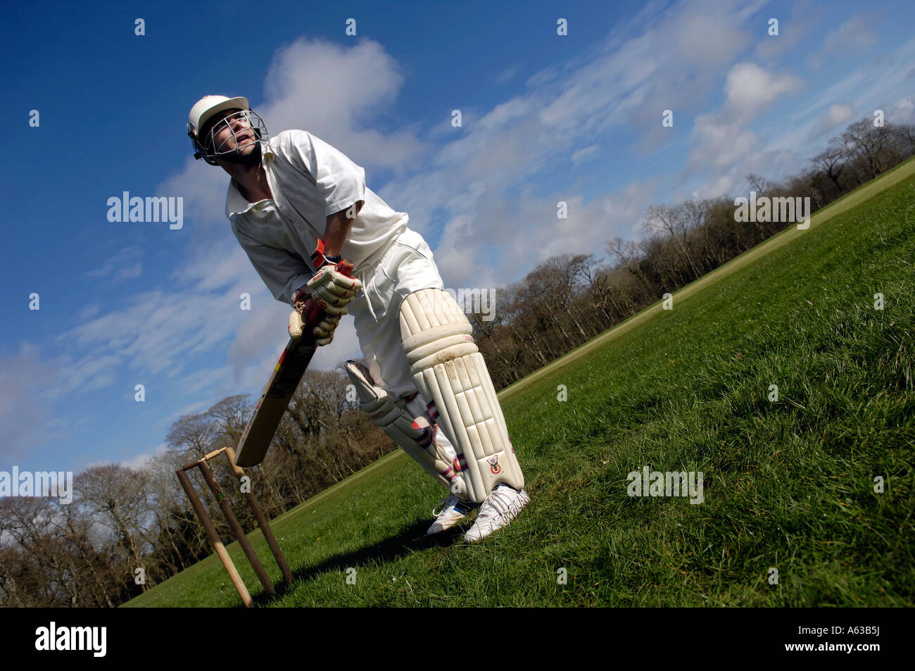 Man bowling cricket ball hi-res stock photography and images - Alamy