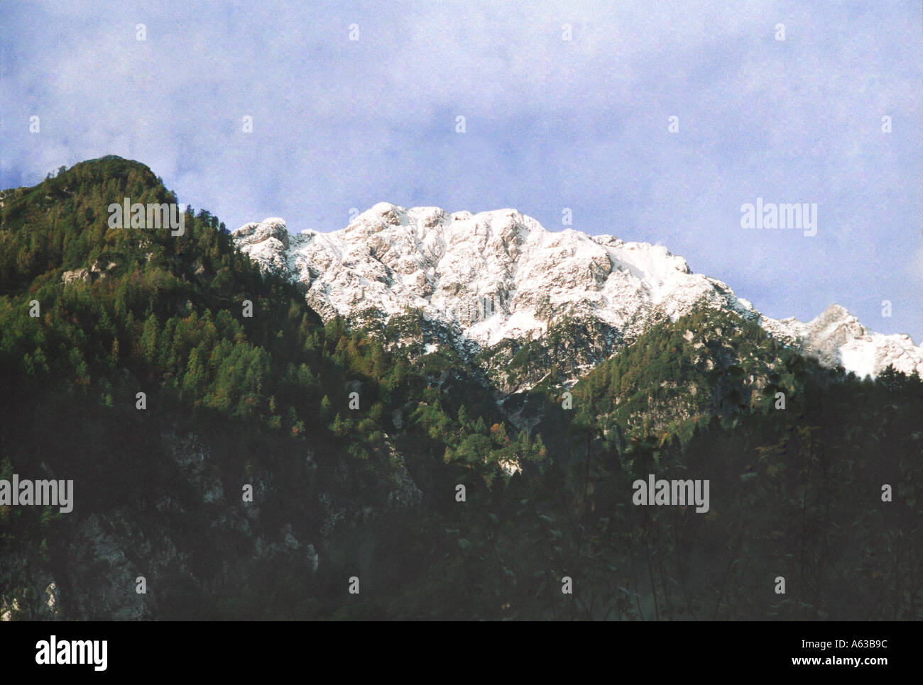 Valbruna High Resolution Stock Photography and Images - Alamy