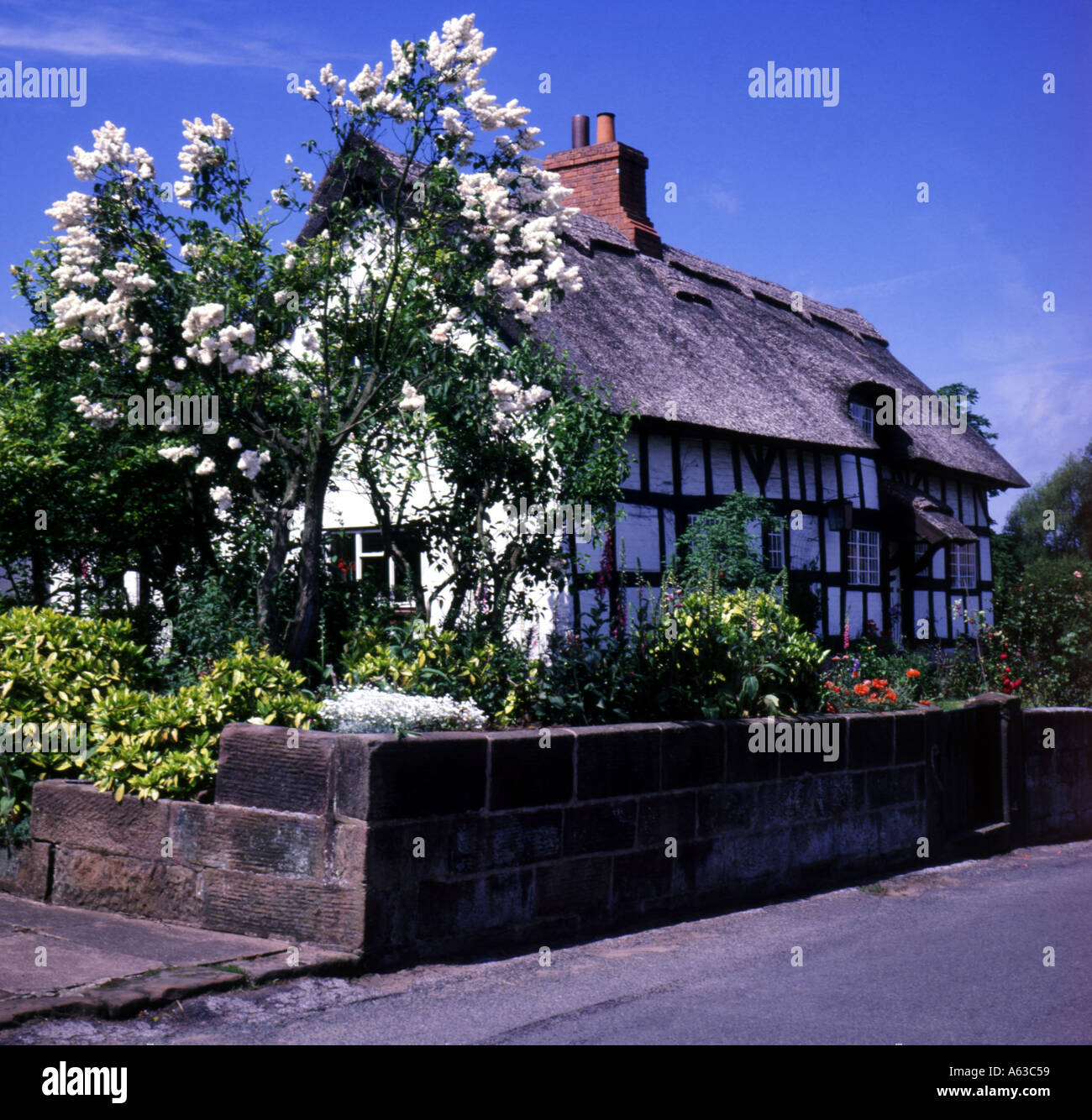 Thatched Cheshire Cottage England United Kingdom Stock Photo - Alamy