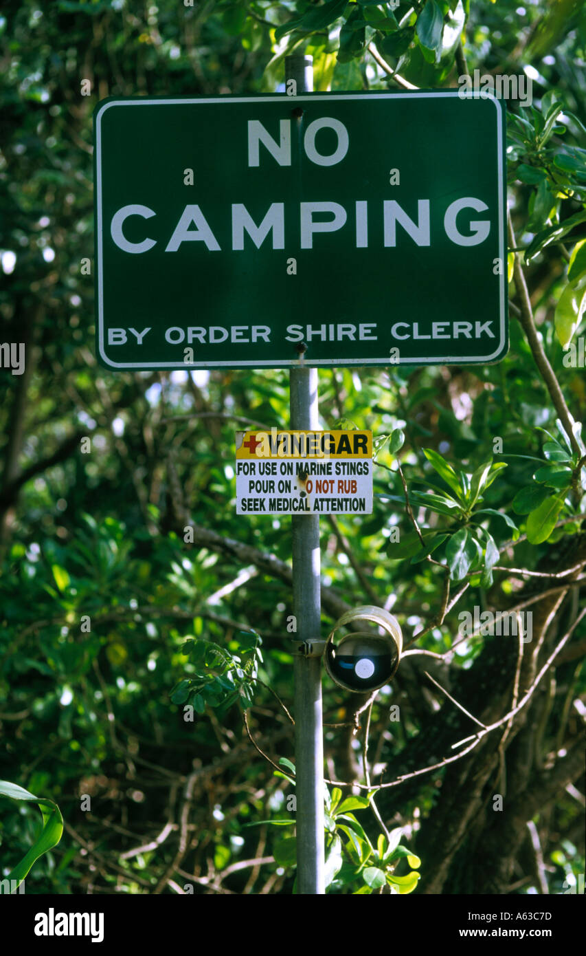 Cape tribulation australia jellyfish hi-res stock photography and ...
