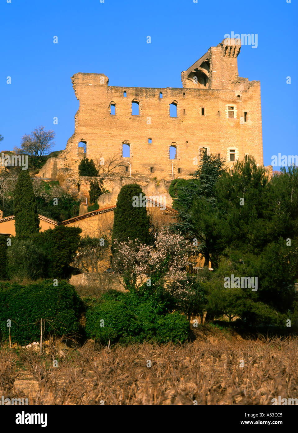 Chateauneuf Du Pape Castle High Resolution Stock Photography and Images ...