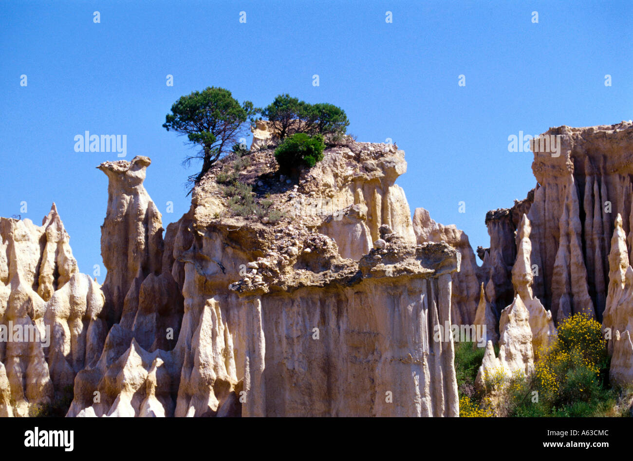 Trees on rock formation, Pyrenees, Ille Sur Tet, France Stock Photo - Alamy