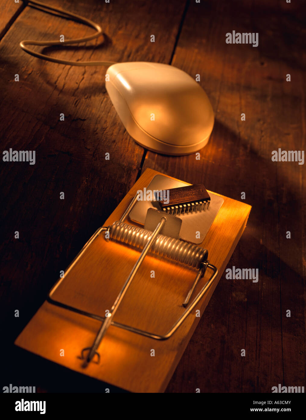 MOUSE TRAP WITH SILICON COMPUTER CHIP AS BAIT ATTRACTING COMPUTER MOUSE ...