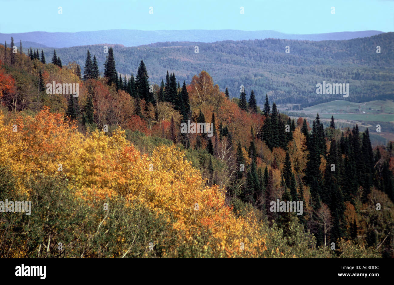 Foothill woodland hi-res stock photography and images - Alamy