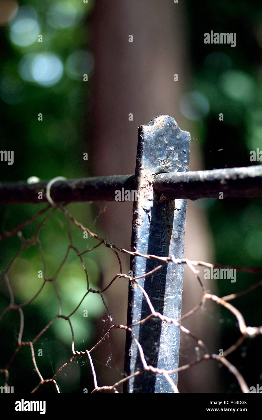 wire netting fence Stock Photo - Alamy