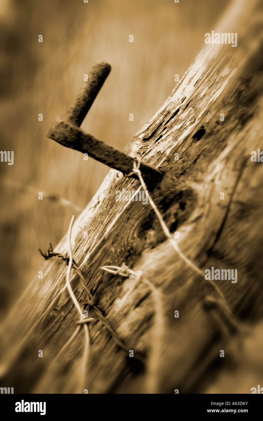 old gate post Stock Photo - Alamy