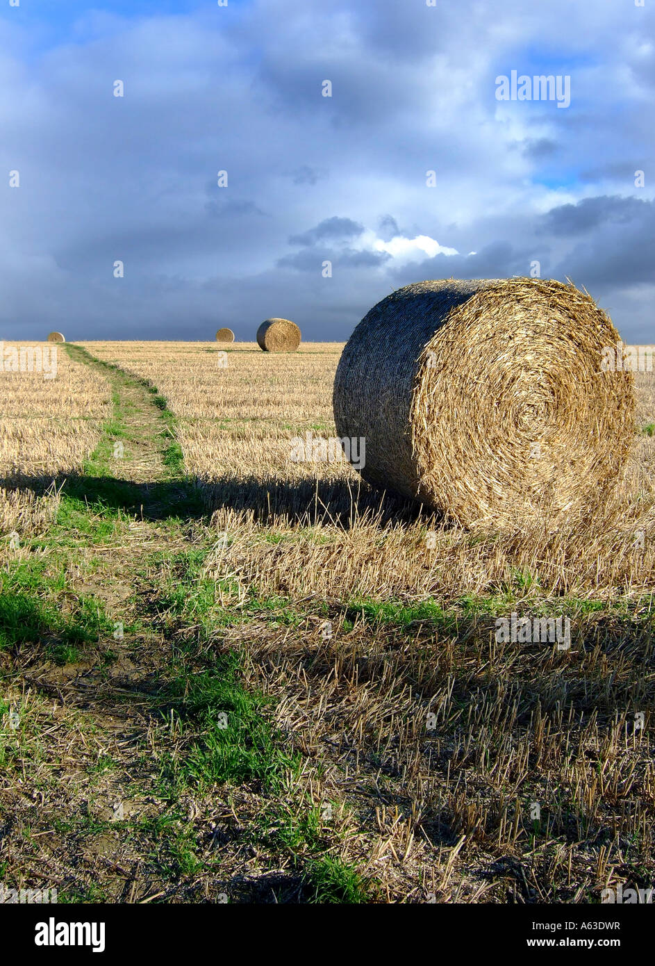 Straw cylinder hi-res stock photography and images - Alamy