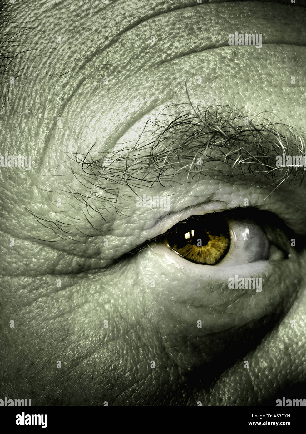 Wrinkled forehead man hi-res stock photography and images - Alamy