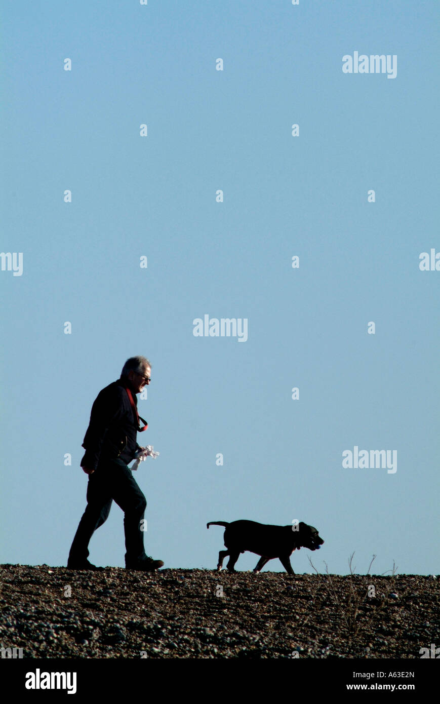 man walking dog Stock Photo - Alamy