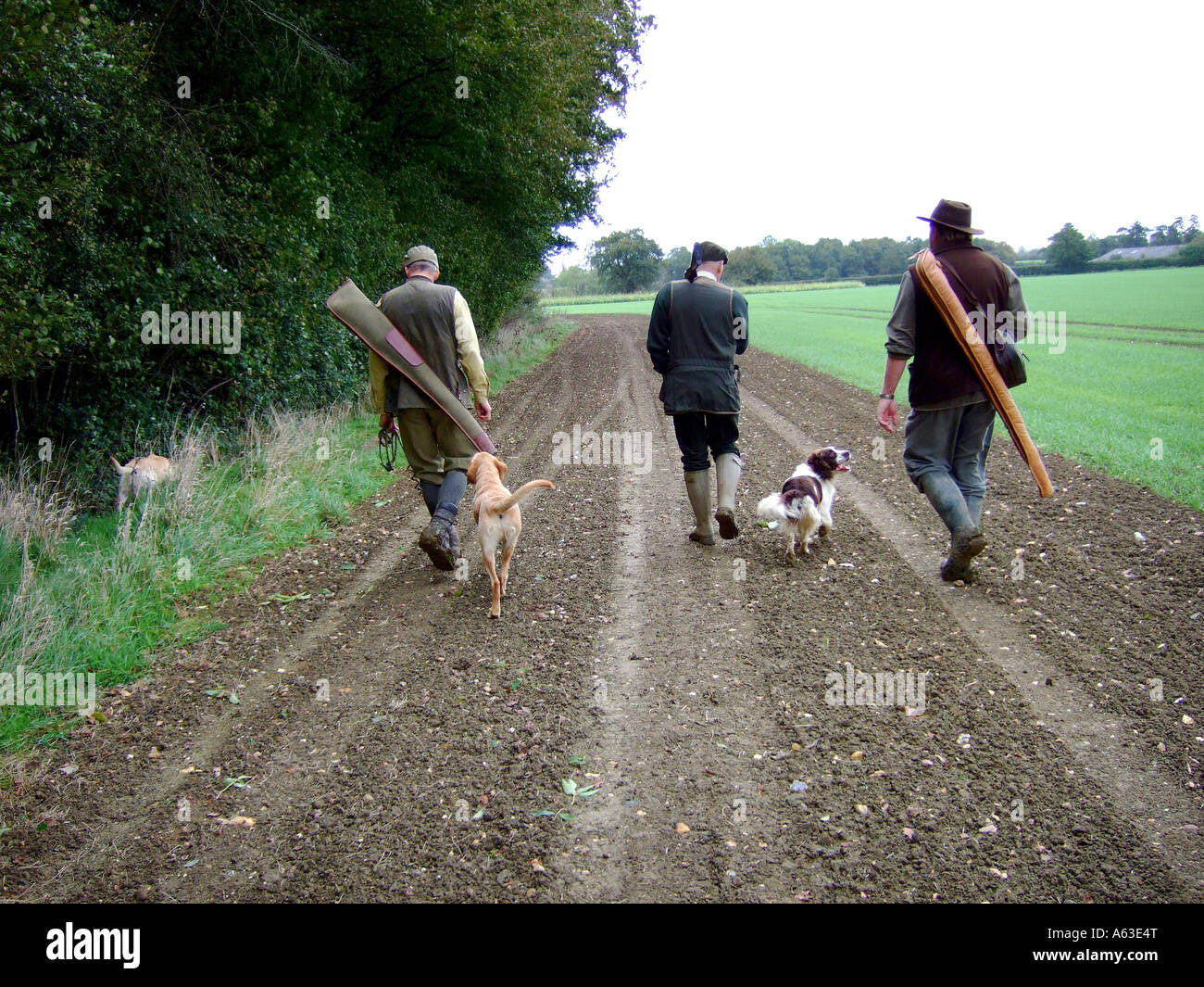 Men walking dogs hi-res stock photography and images - Alamy