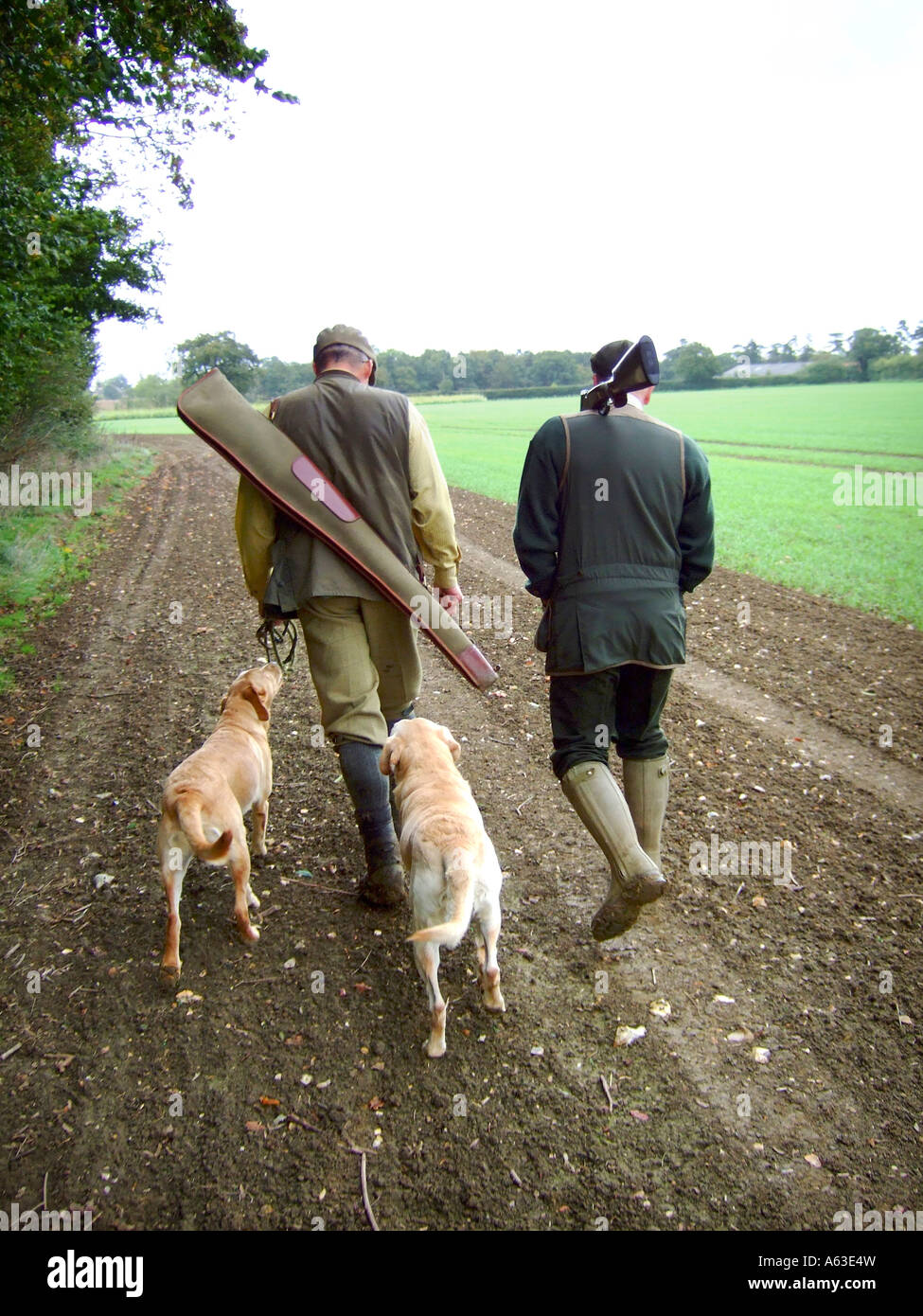 men walking in countryside with dogs Stock Photo - Alamy