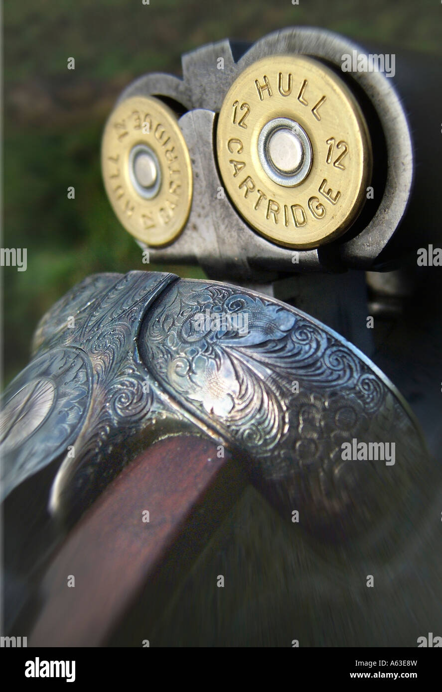 Open shotgun shells hi-res stock photography and images - Alamy