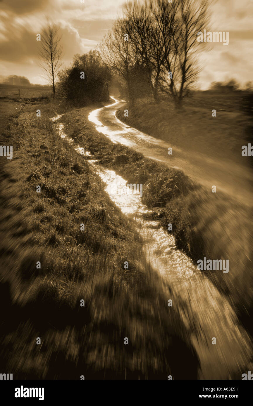 country road beside stream Stock Photo - Alamy