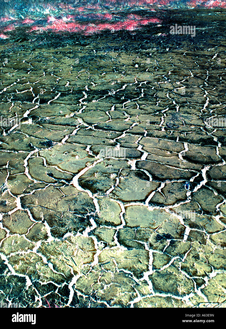 dried up river bed Stock Photo - Alamy