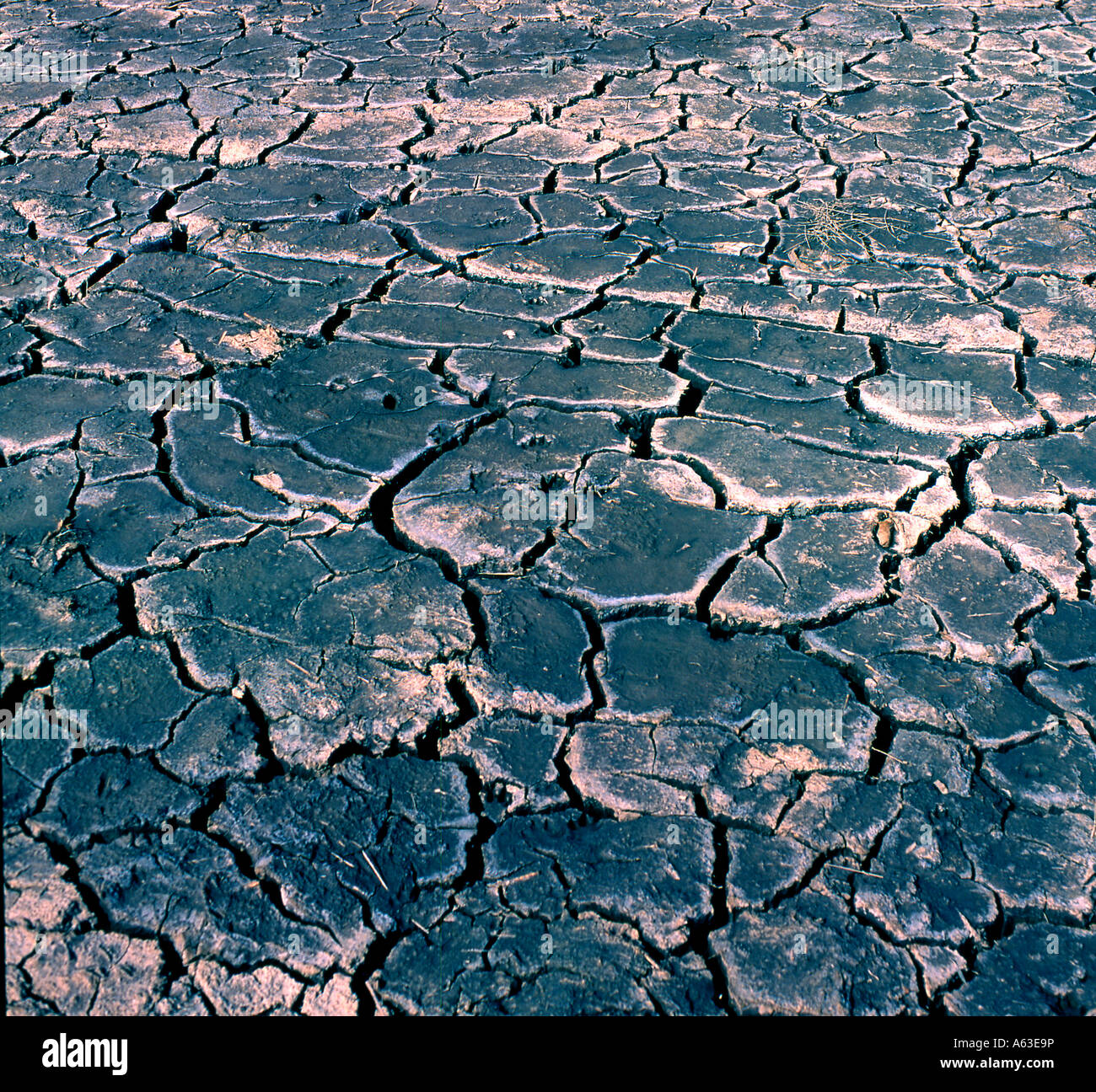 dried river bed Stock Photo - Alamy