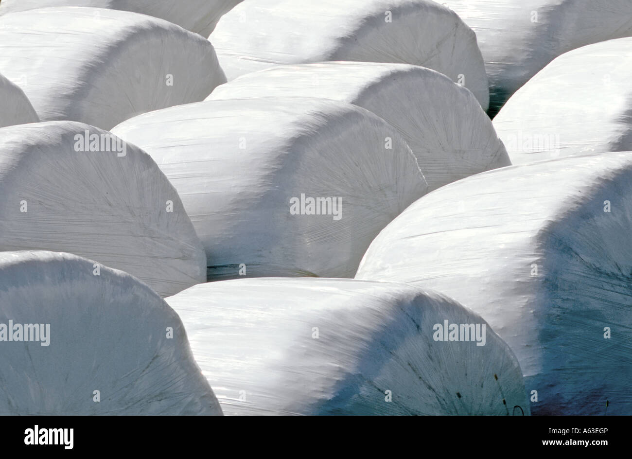 Covered bales of hay stored for the winter Stock Photo - Alamy