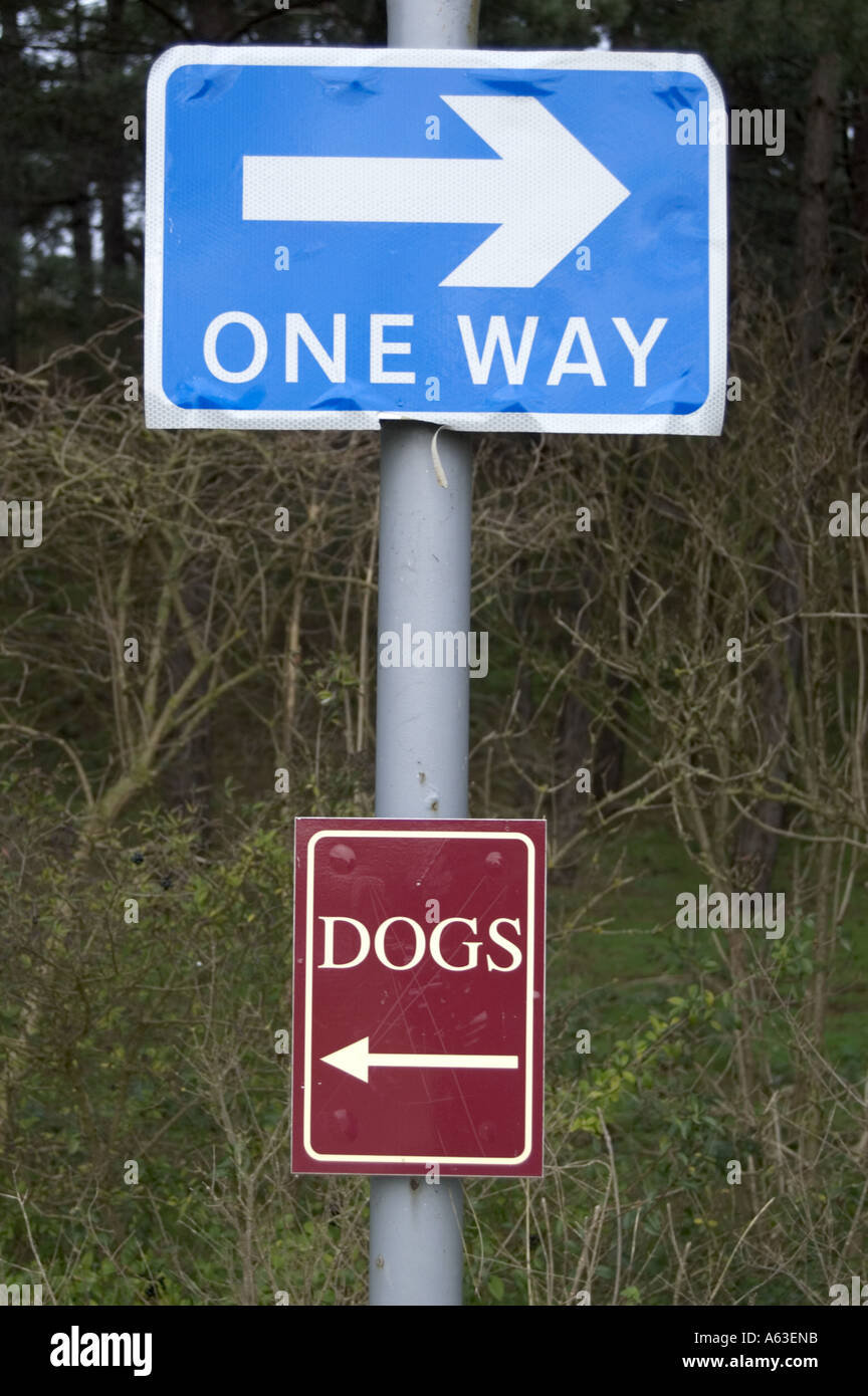Funny signpost hi-res stock photography and images - Alamy