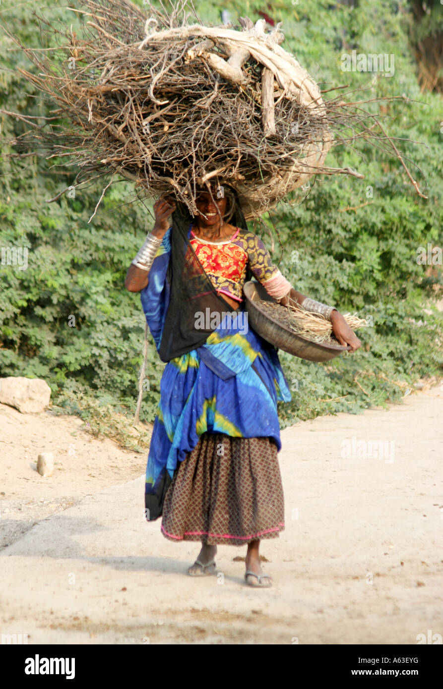 Vibrantly colourful tattoed woman of the Bharwad tribe at Ambala ...