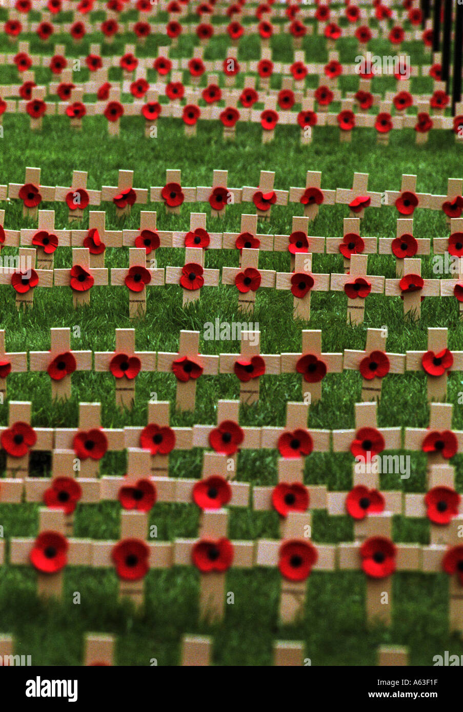POPPIES AT THE FIELD OF REMEMBRANCE AT WESTMINSTER ABBEY LONDON Stock ...