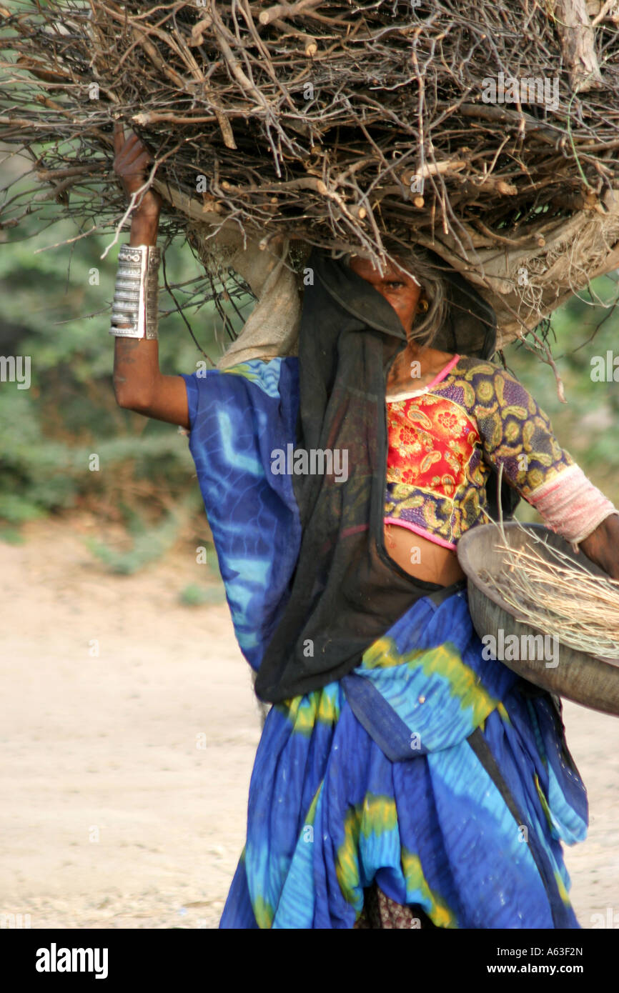 Vibrantly colourful tattoed woman of the Bharwad tribe at Ambala ...