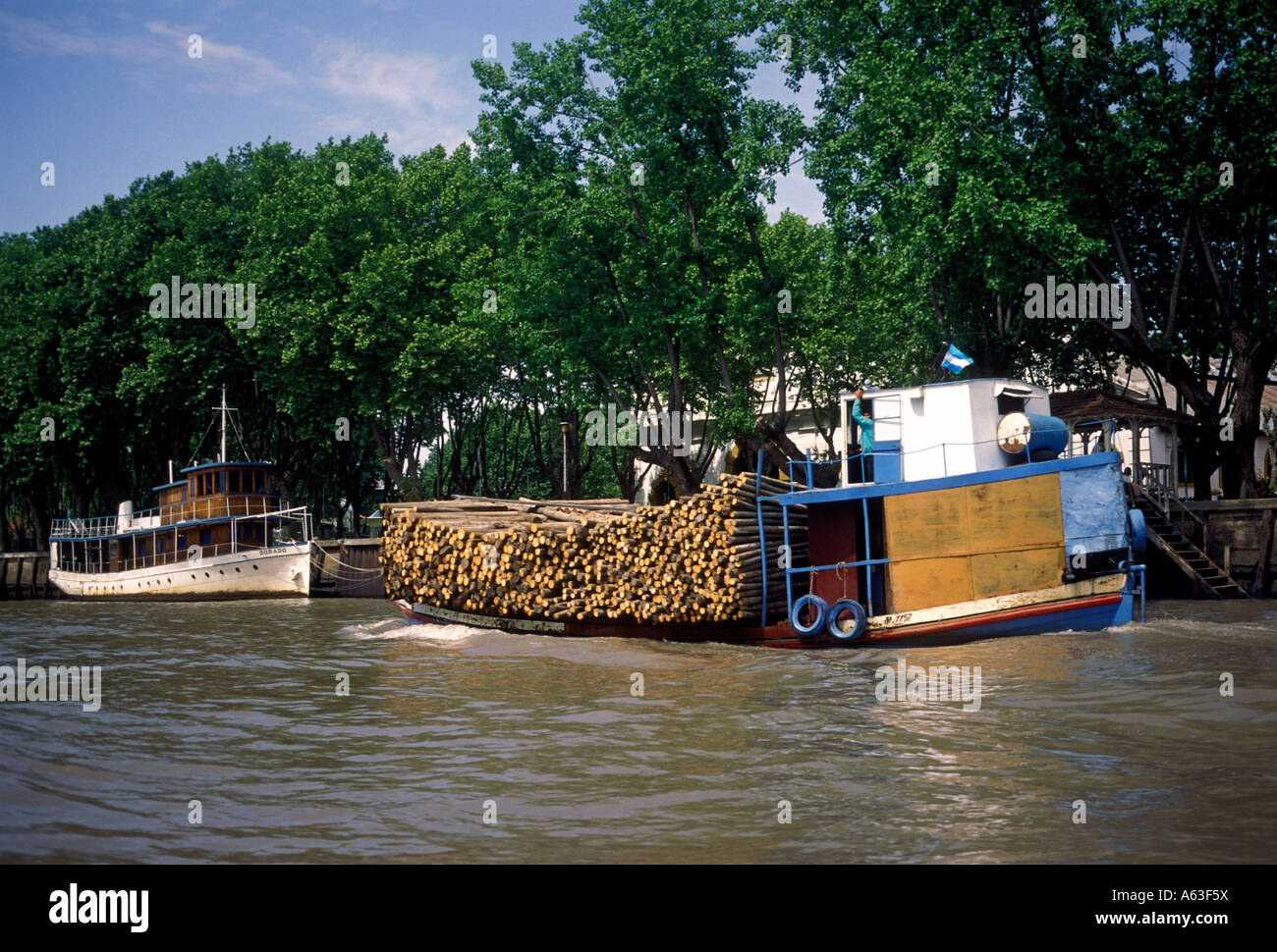 Barge boat carrying lumber logs wood along Tigre River on Parana Delta ...