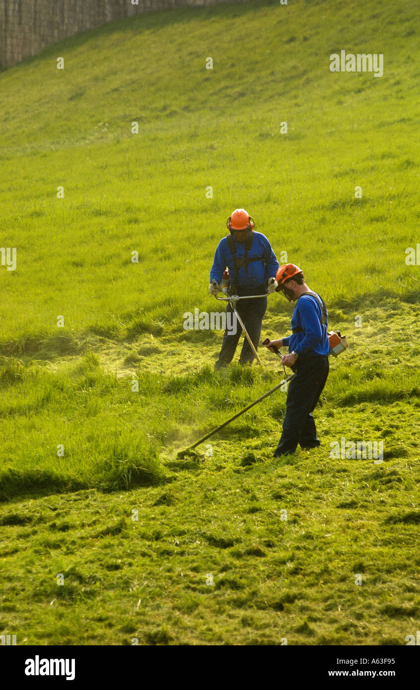 Gardeners using strimmers to cut long grass Stock Photo - Alamy