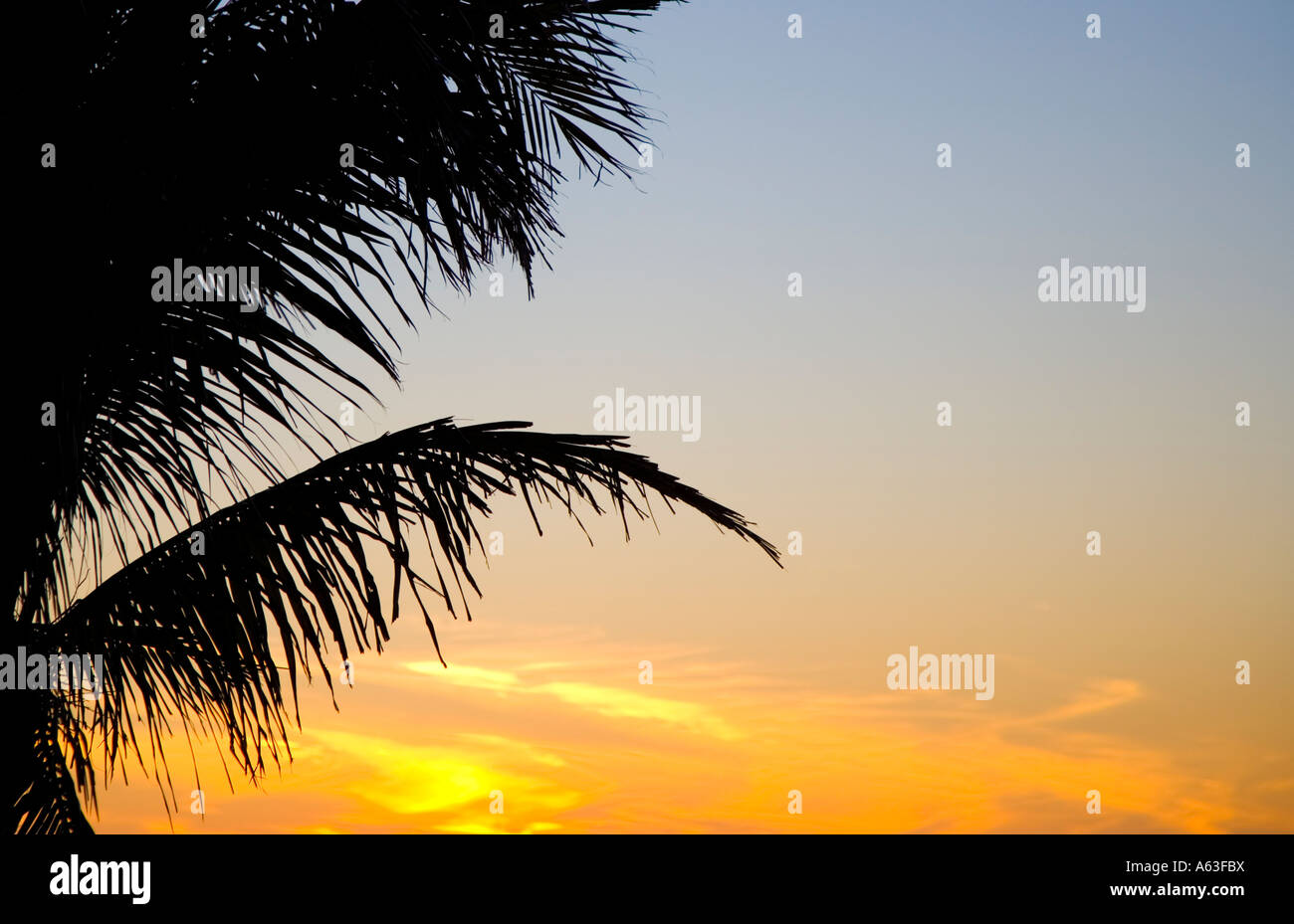 Tropical sky at sunset Stock Photo - Alamy