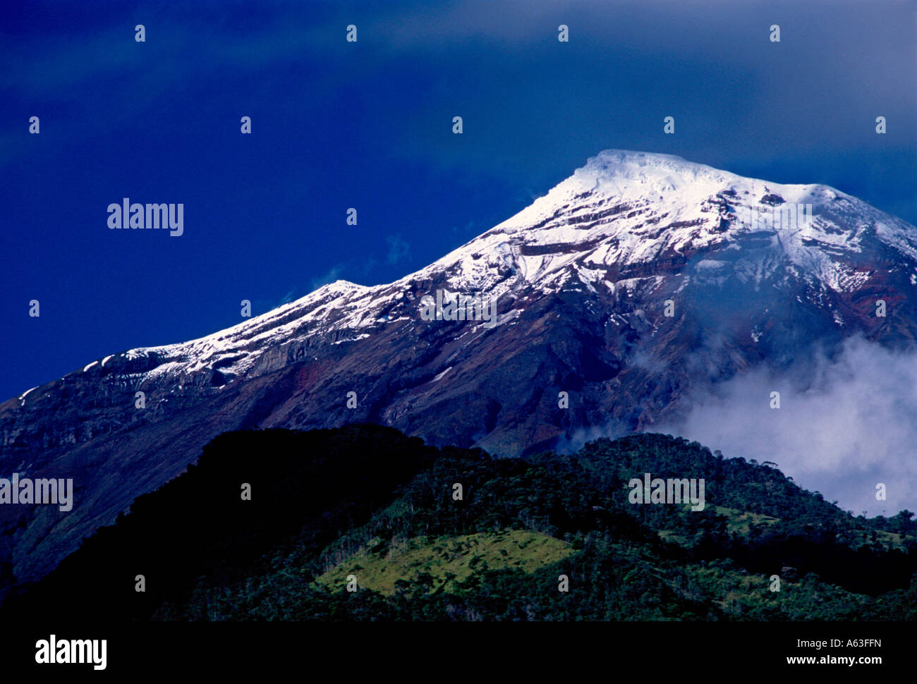 Tunguri rahua hi-res stock photography and images - Alamy