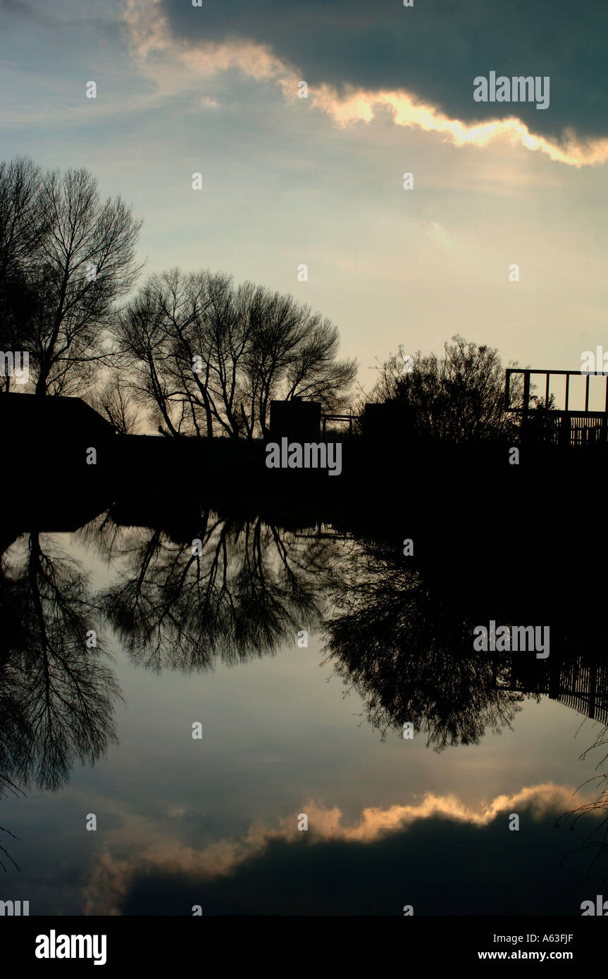 Silhouettes of symmetrical trees hi-res stock photography and images ...