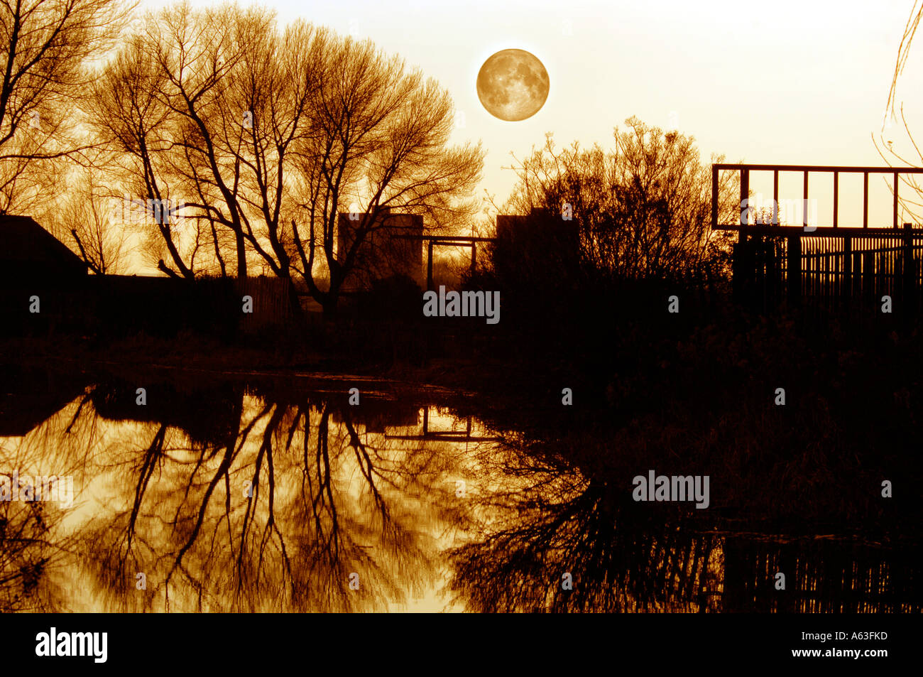 Silhouettes of symmetrical trees hi-res stock photography and images ...