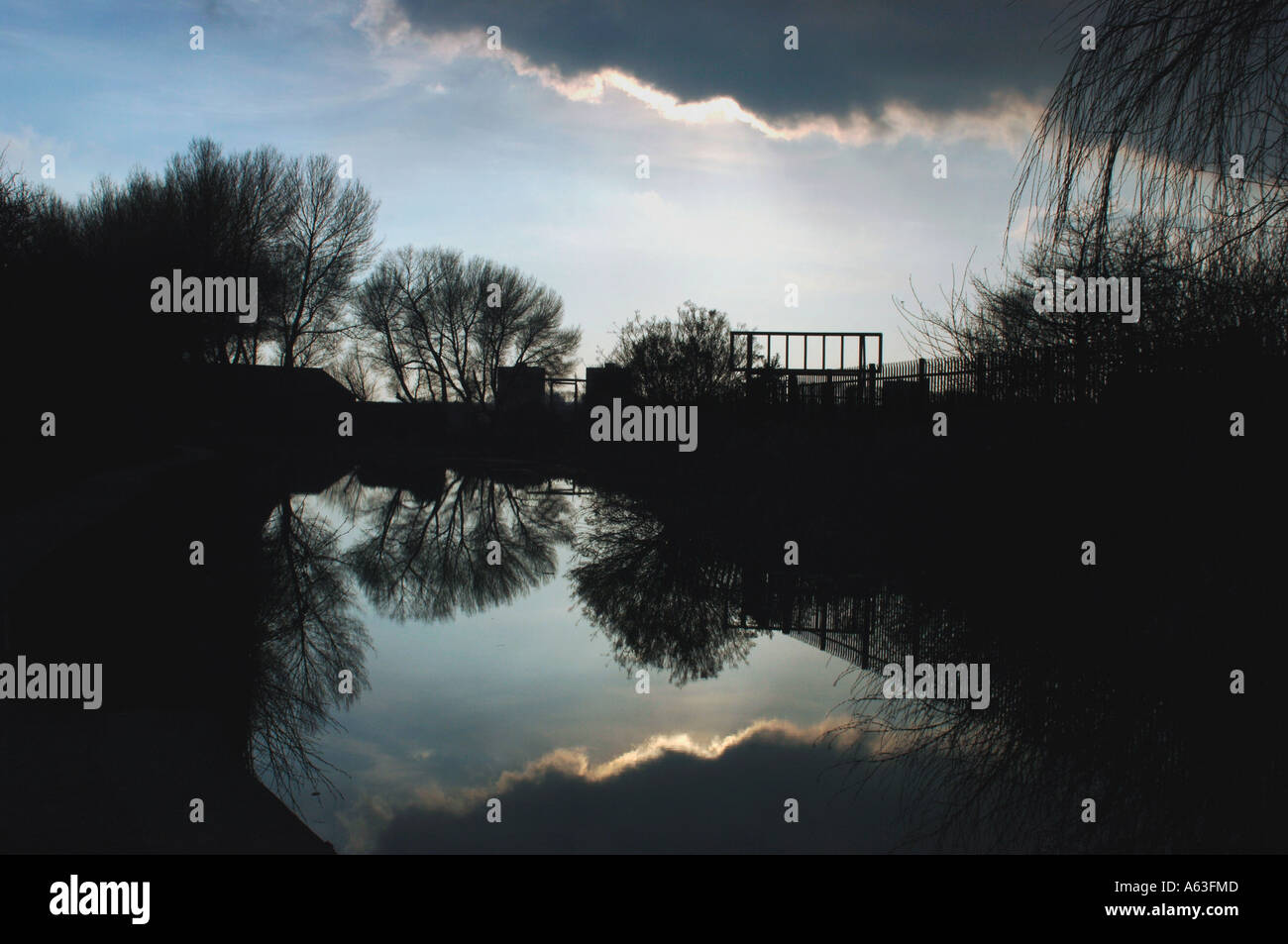 Symmetrical trees silhouettes hi-res stock photography and images - Alamy