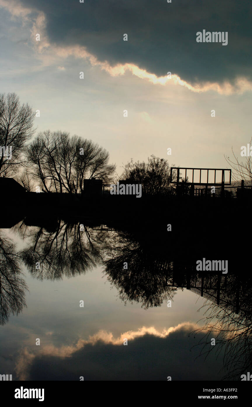 Silhouettes of symmetrical trees hi-res stock photography and images ...