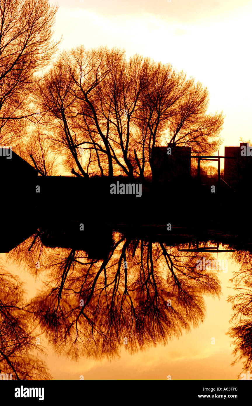 Symmetrical trees silhouettes hi-res stock photography and images - Alamy