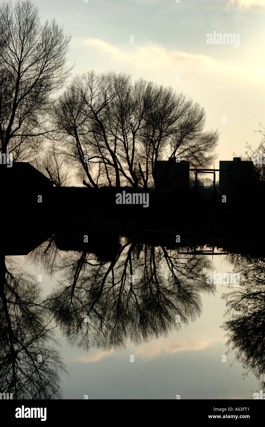 Symmetrical trees silhouettes hi-res stock photography and images - Alamy