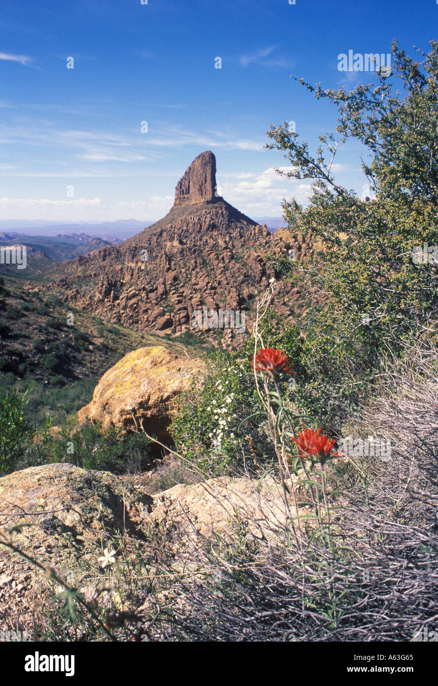Weavers needle hi-res stock photography and images - Alamy