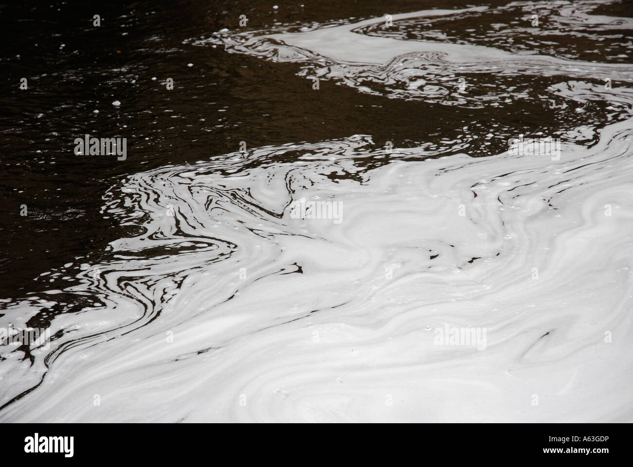 Froth and foam hi-res stock photography and images - Alamy