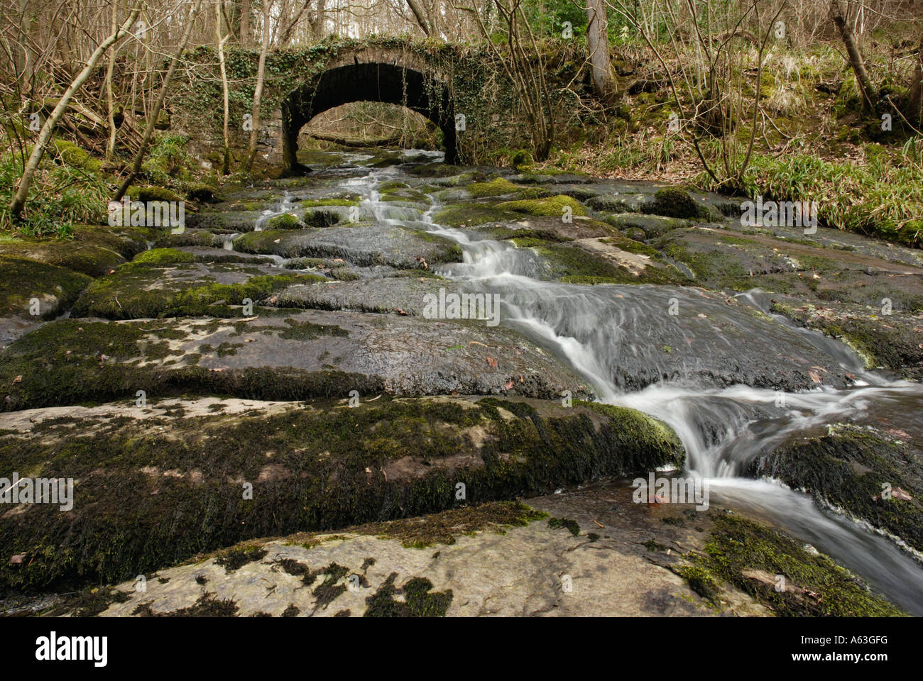 River Irthing tributary Stock Photo - Alamy