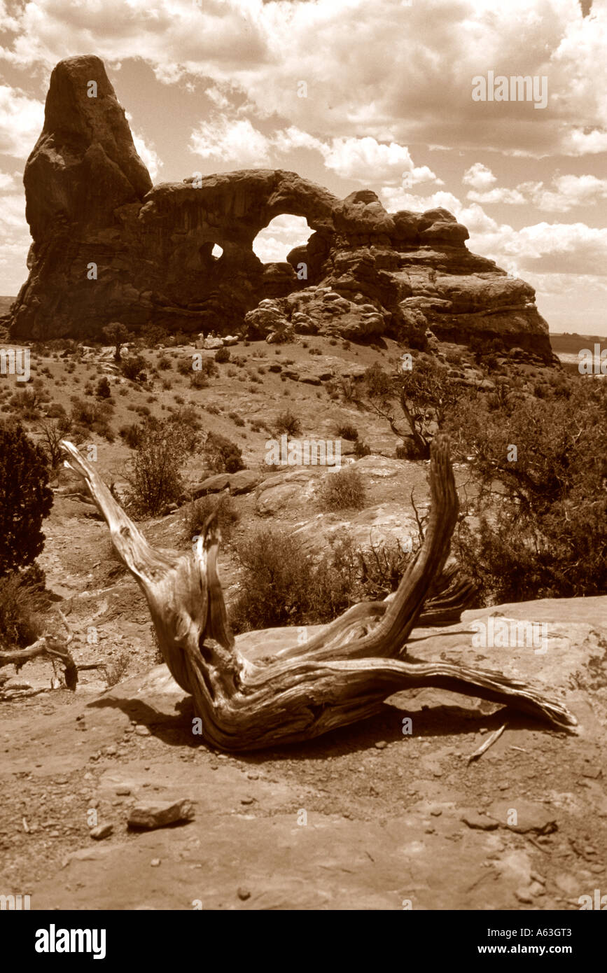 Arches National Park,Utah,USA Stock Photo - Alamy