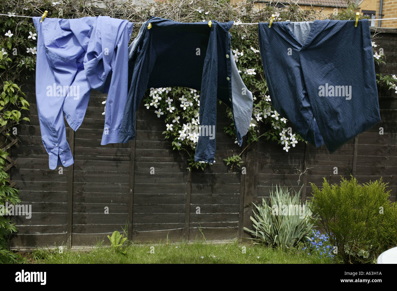 shirts drying on washing line Stock Photo - Alamy