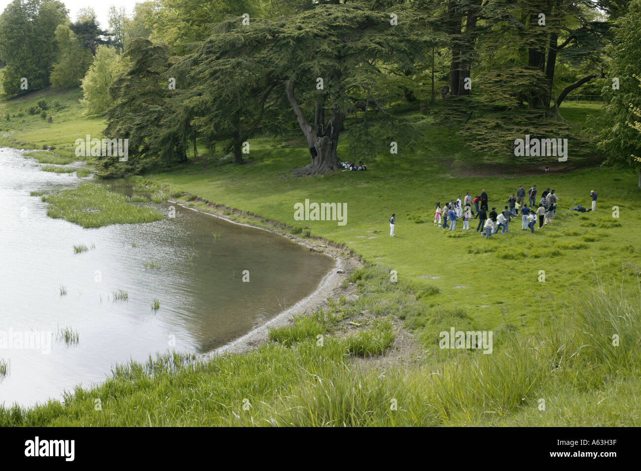Ring of asian people dancing outside Stock Photo - Alamy