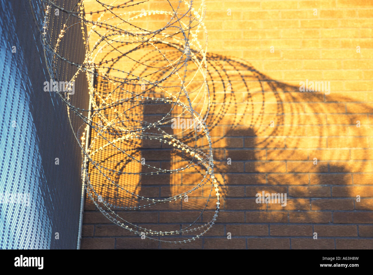 Perimeter fence with razor wire and shadow on wall, HM Prison Cardiff ...