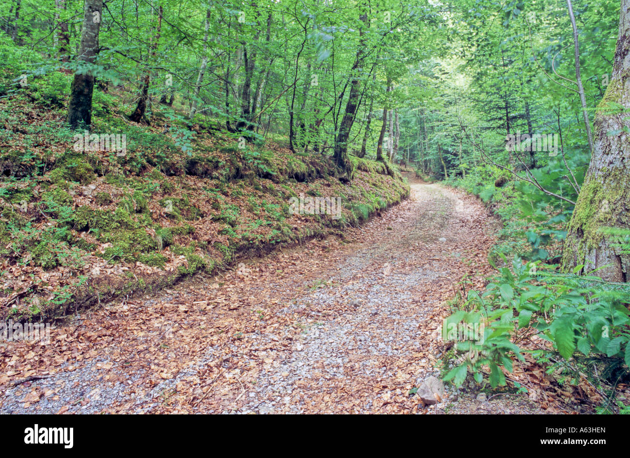 Morvan regional park hi-res stock photography and images - Alamy