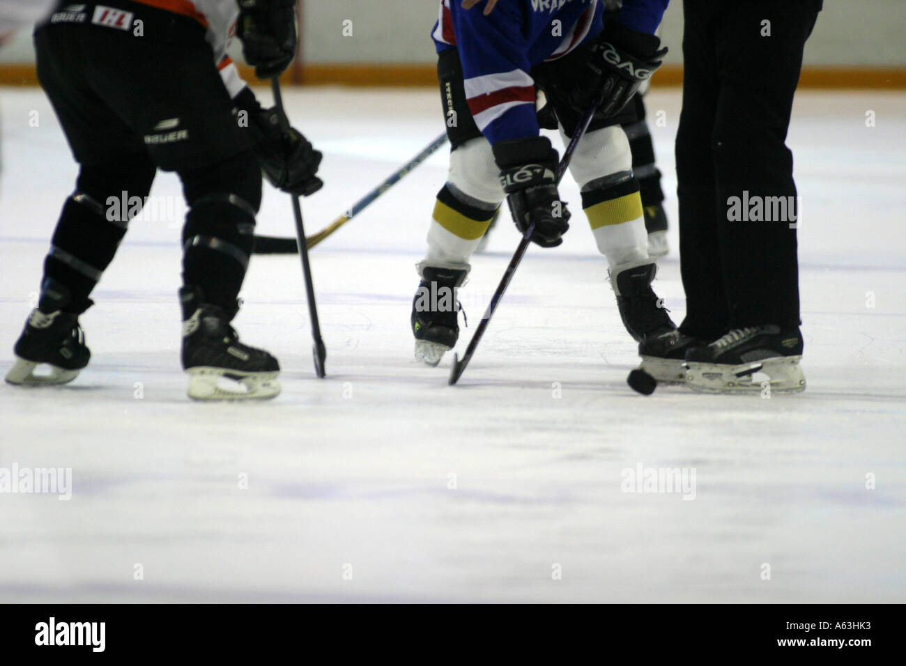 Hockey expert hi-res stock photography and images - Alamy